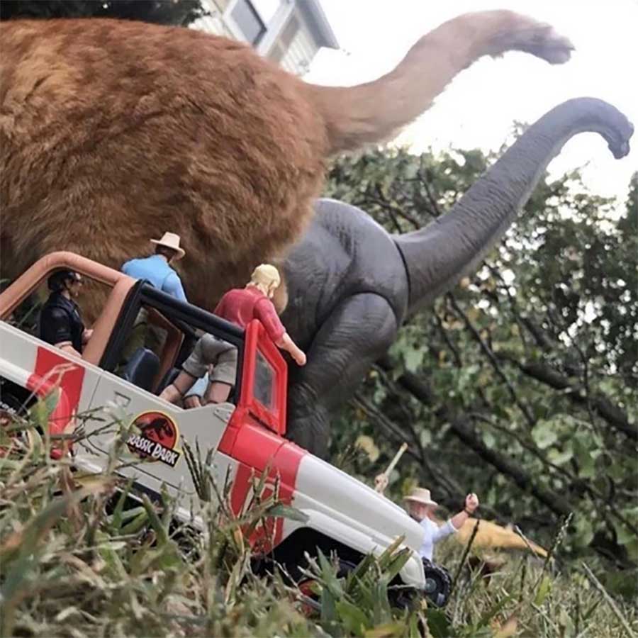 Picdump Nr. 11 (Watson.ch) | Picdumps.com - Die besten Picdumps im Web!