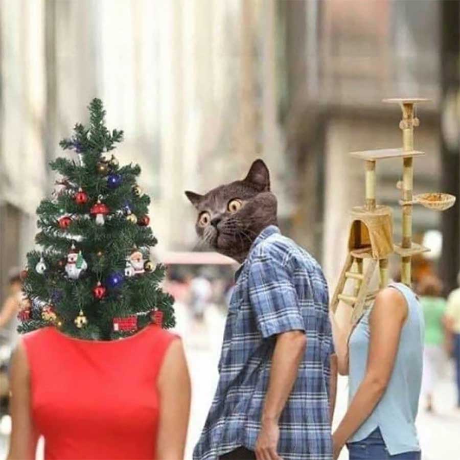 Picdump Nr. 12 (Watson.ch) | Picdumps.com - Die besten Picdumps im Web!